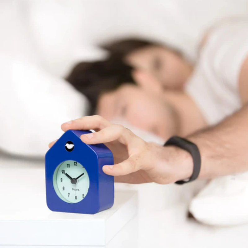 Fisura Mini blue house alarm clock – Mulveys.ie