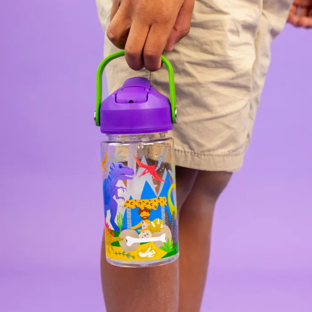 Floss & Rock Drinks Bottle Dino – Mulveys.ie